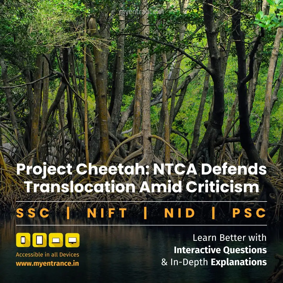 Project Cheetah: NTCA Defends Translocation Amid Criticism, Highlights Ecological Adaptation ...