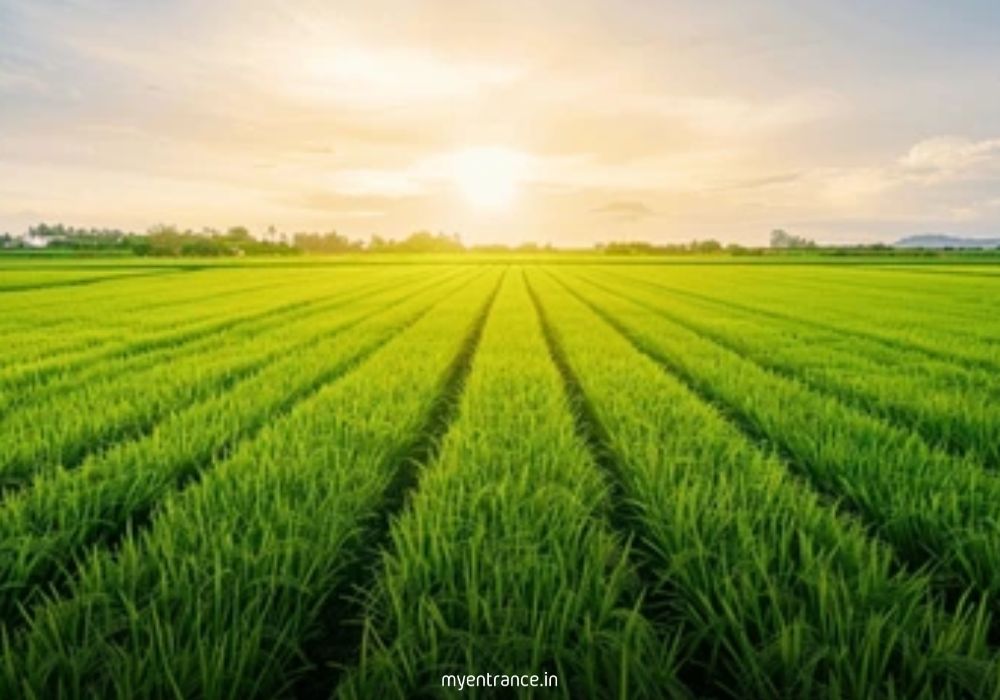 Bibi Fatima SHG Wins UNDP Equator Prize 2025: Karnataka’s Women Lead ...