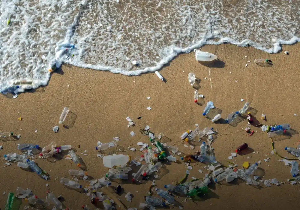 Unmasking the Invisible Threat: How Microplastics Are Poisoning Goa's ...