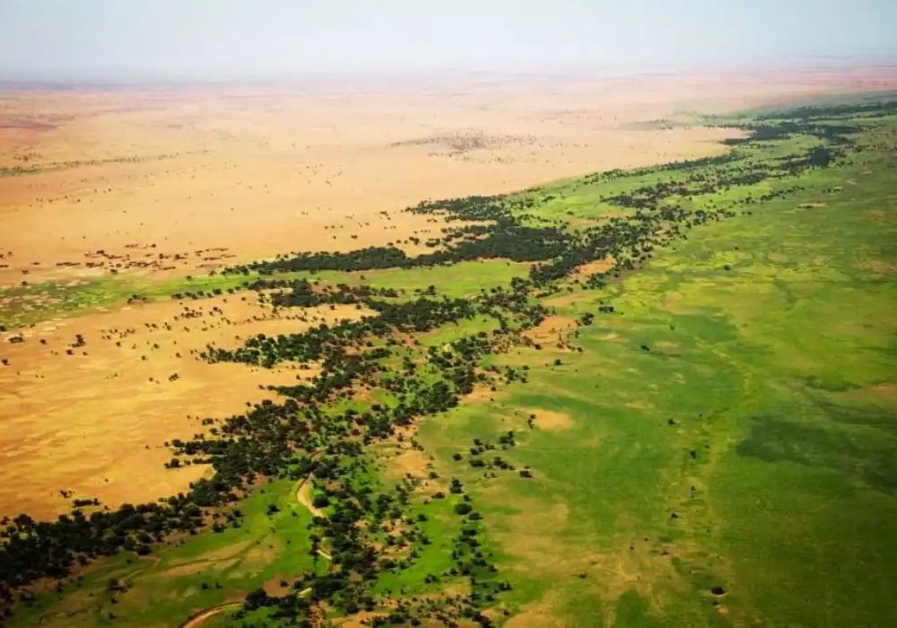 Beyond the Trees: Unlocking the Secrets of Africa's Great Green Wall ...
