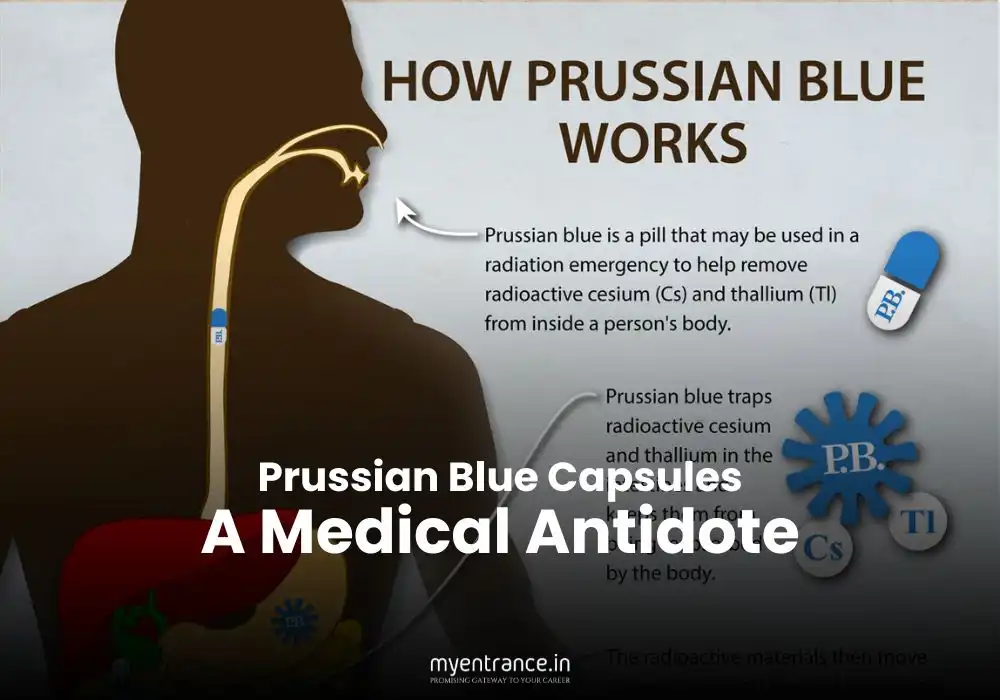 What are Prussian Blue Capsules? - My Entrance